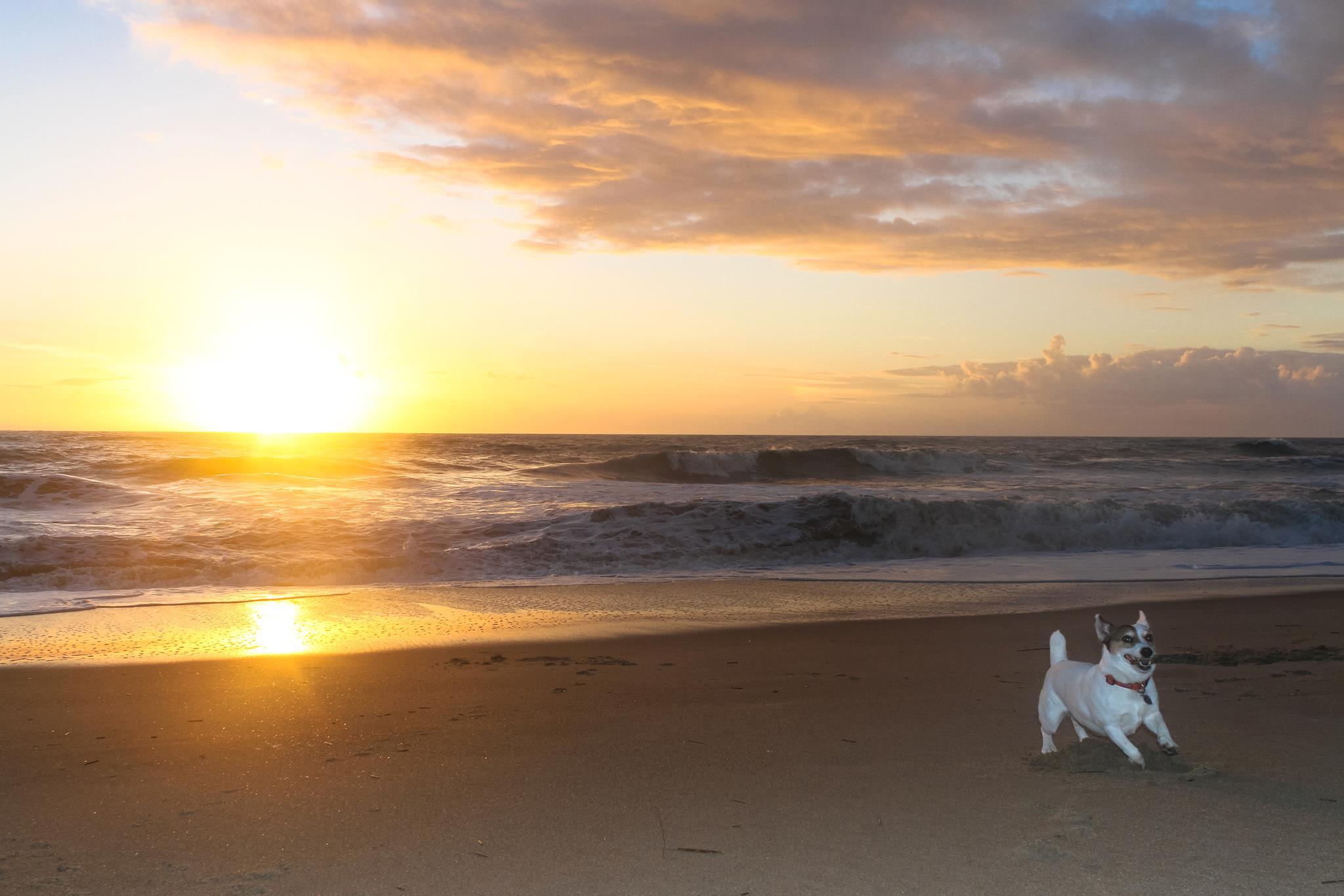 Best Beaches in the Outer Banks | OBX Beaches